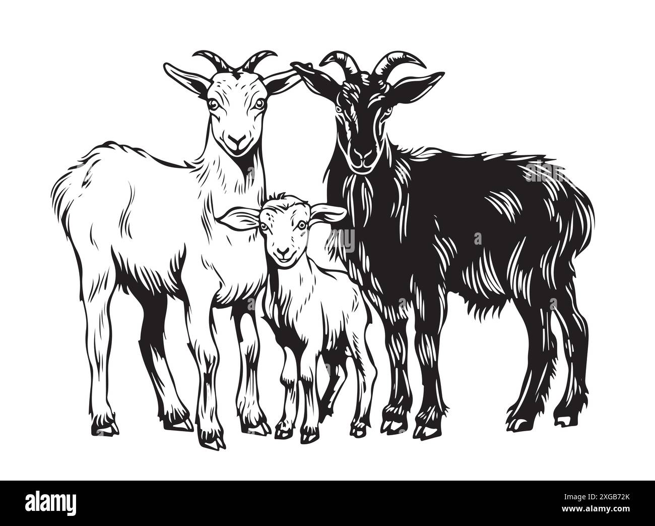 Black baby goat Stock Vector Images - Alamy