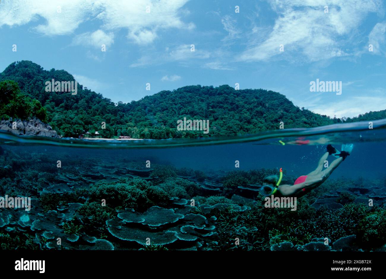 Snorkeling, Scin diving, Scin diver, split image, Malaysia, Pulau ...