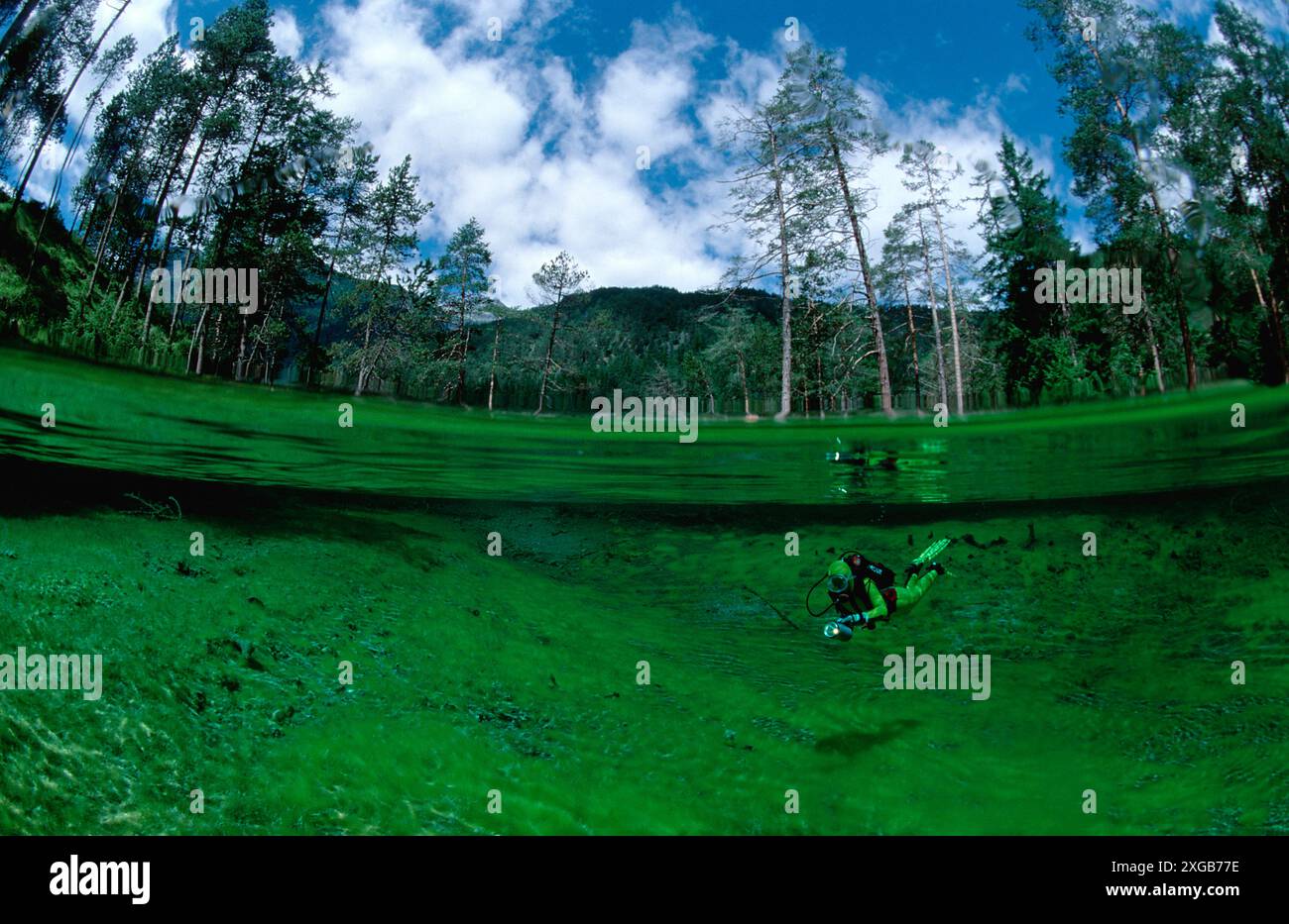 spring, mountain spring, mountain lake, scuba diver, split image ...