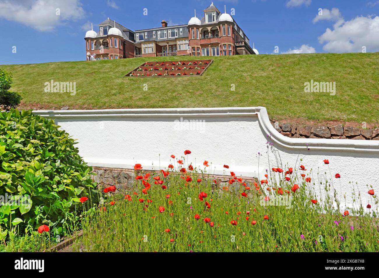 Poppies in flower front boundary wall at Victoria Hotel building a ...