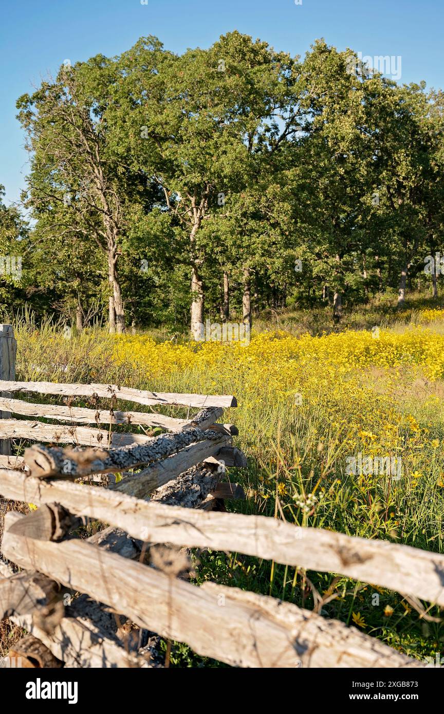 Wooden fence wildflowers and trees hi-res stock photography and images ...