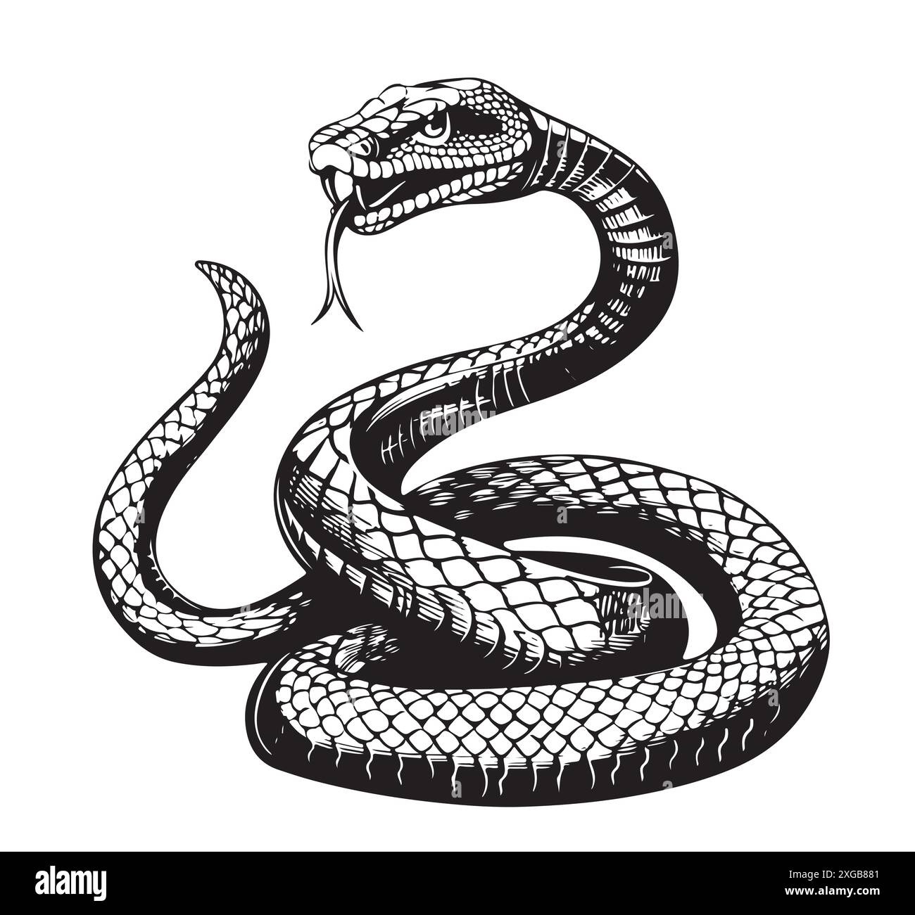 Cobra snake hand drawn illustration. Tattoo vintage print. Hand drawn ...