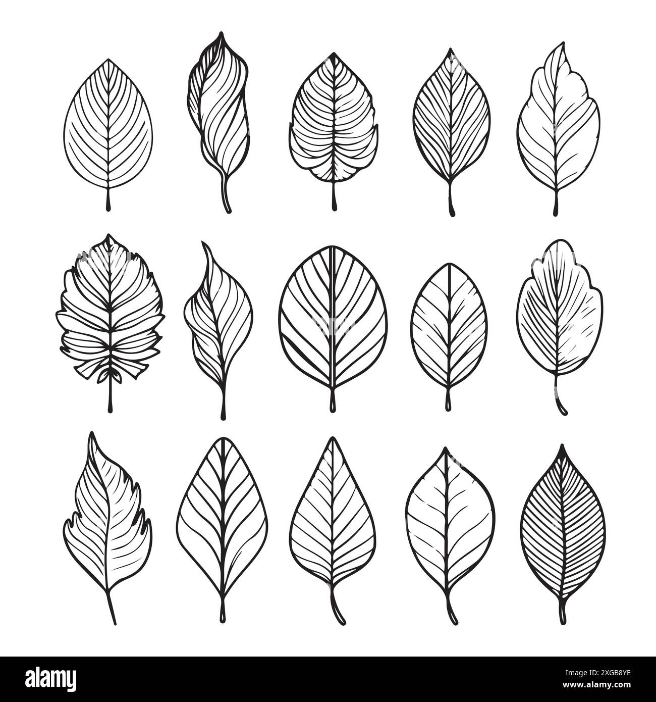 autumn leave hand drawing Vector illustration Stock Vector Image & Art ...
