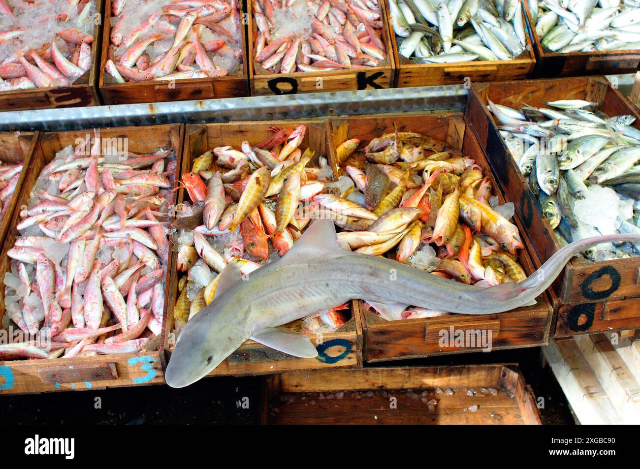 Turkey, Aegean sea, Bodrum, Fish Market Stock Photo - Alamy