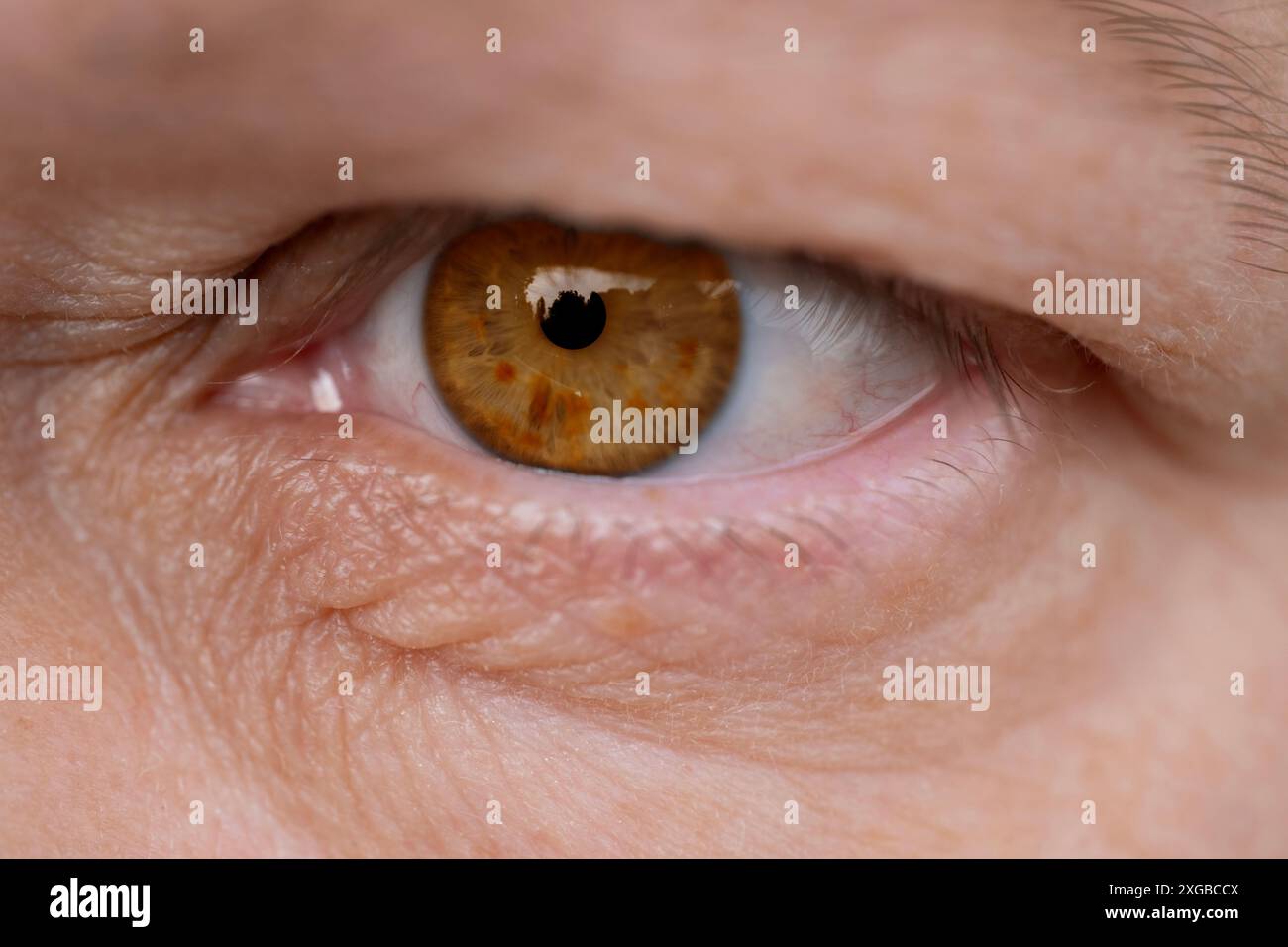 closeup mature human eye, lower, upper eyelid, deep wrinkles around ...