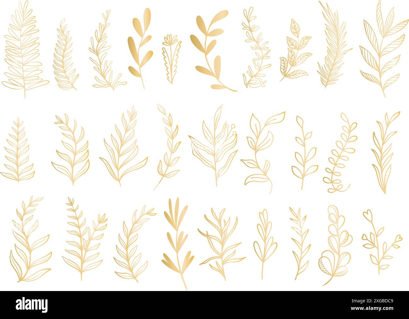 Golden twigs, herbs and foliage set. Beautiful shining botanical ...
