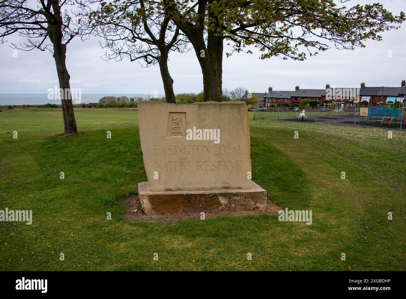 Easington Colliery Nature Reserve, the former site of the colliery near ...