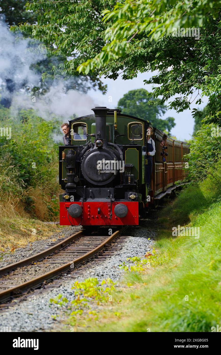 No 7, Tom Rolt, Tal y Llyn, Narrow Gauge, Steam Locomotive Stock Photo ...