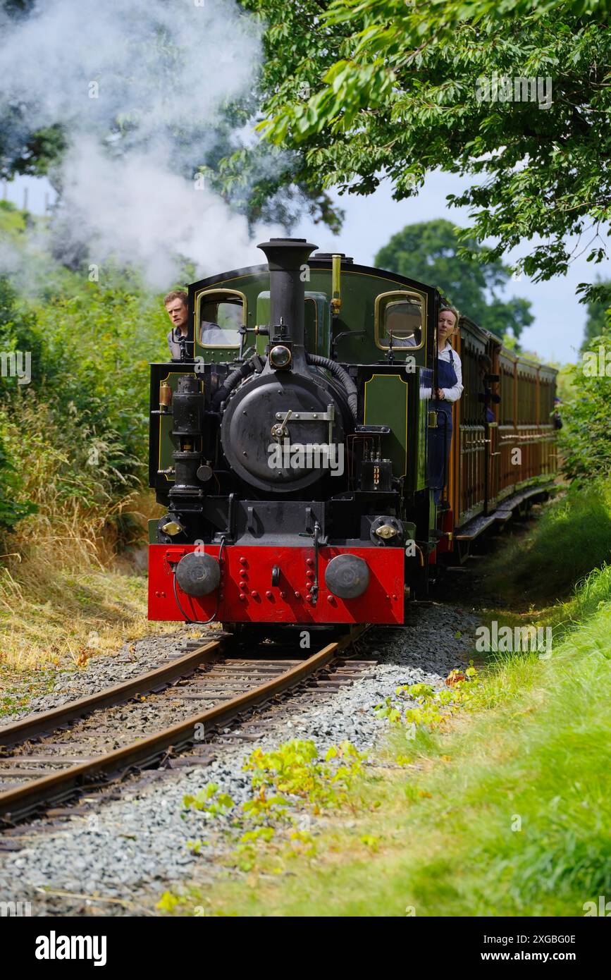 No 7, Tom Rolt, Tal y Llyn, Narrow Gauge, Steam Locomotive Stock Photo ...