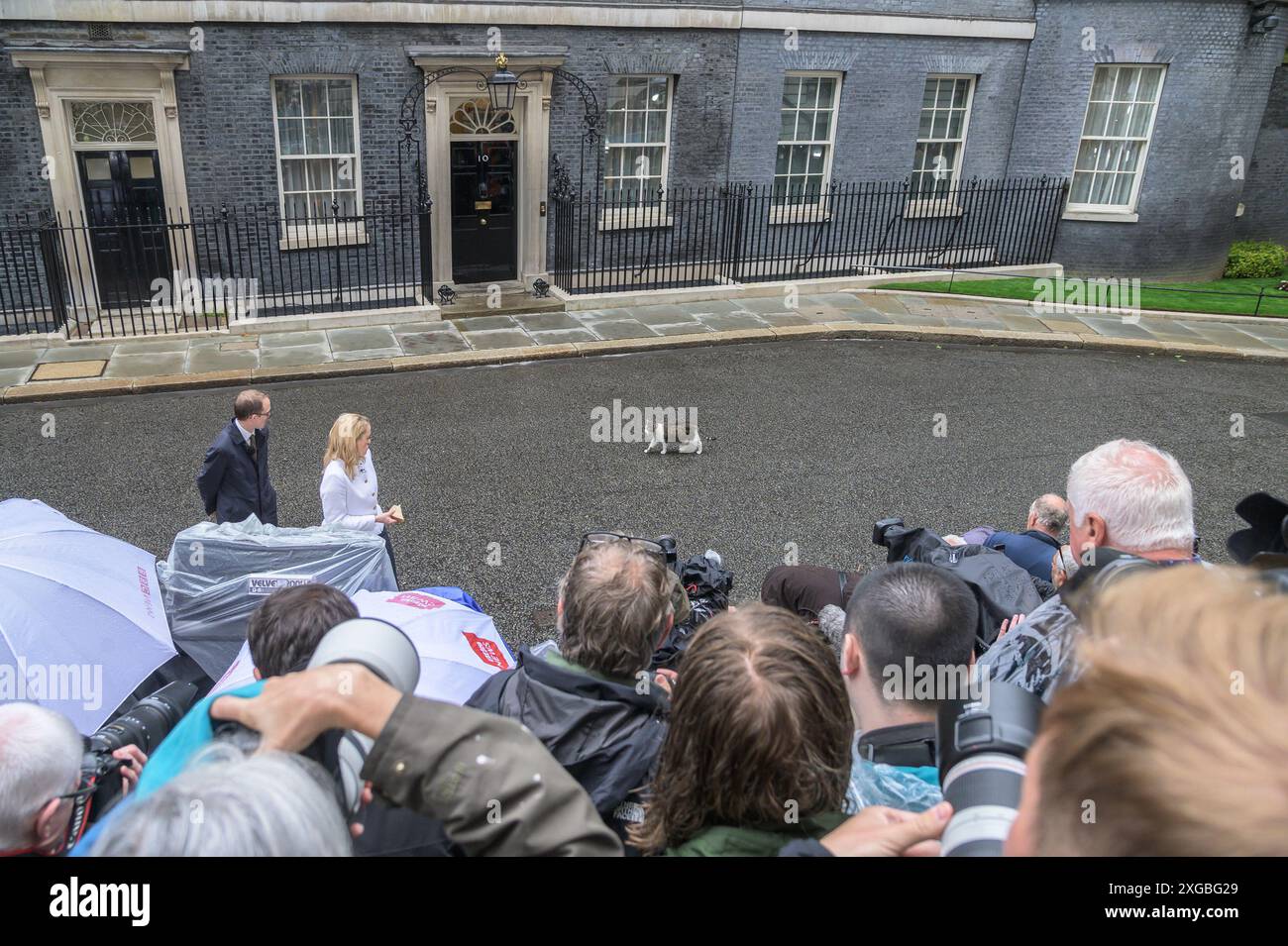 Larry the Cat - Chief Mouser to the Cabinet Office - making an ...