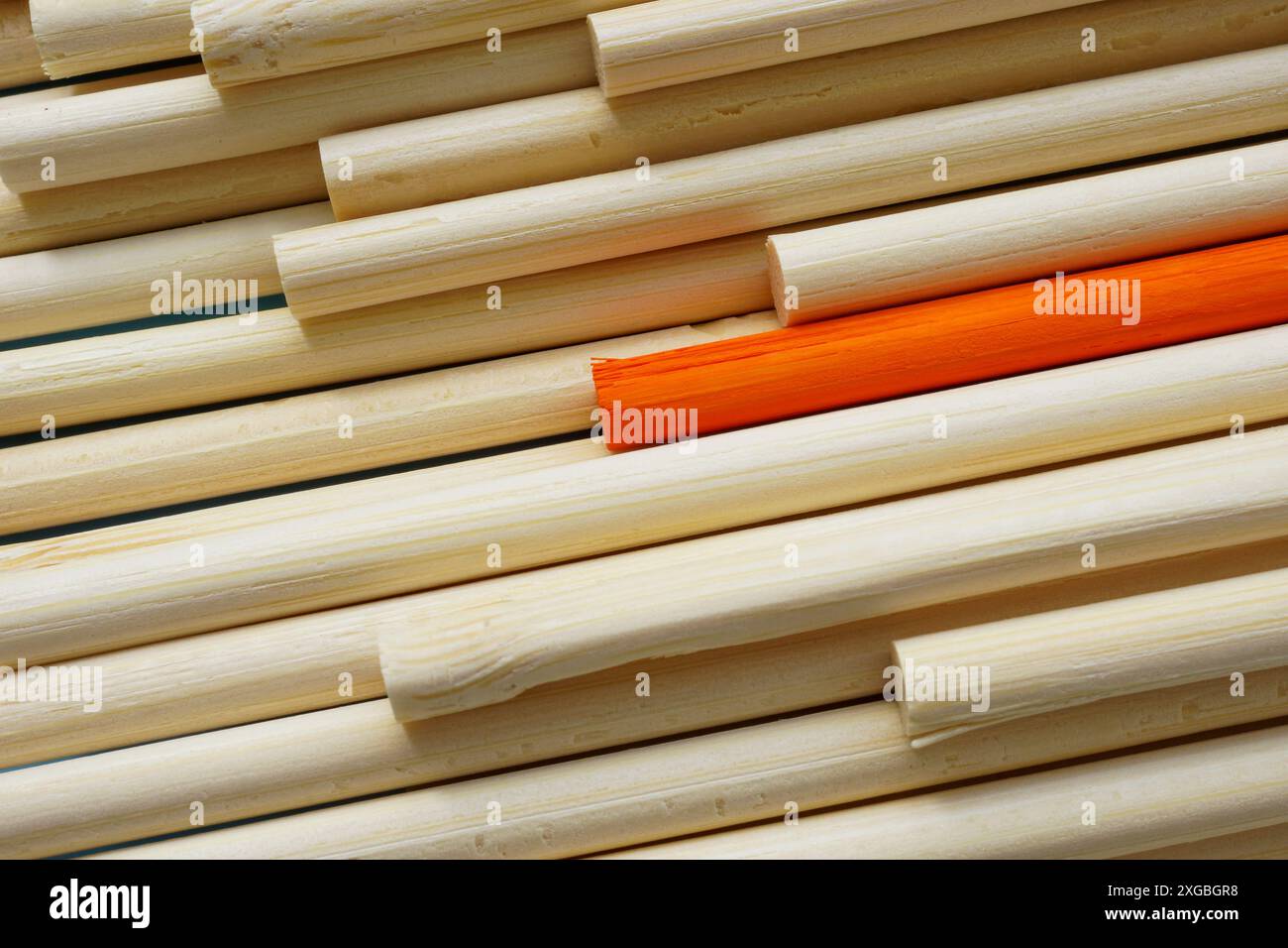 Abstract wooden sticks and one orange one as a symbol of uniqueness and ...