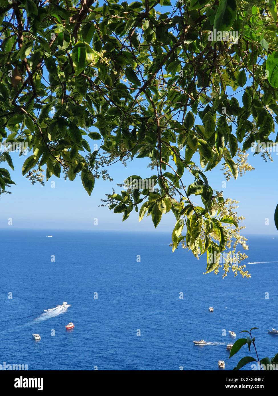Blue Ocean at Positano Bay with Yachts and Sail Boats and Blooming ...