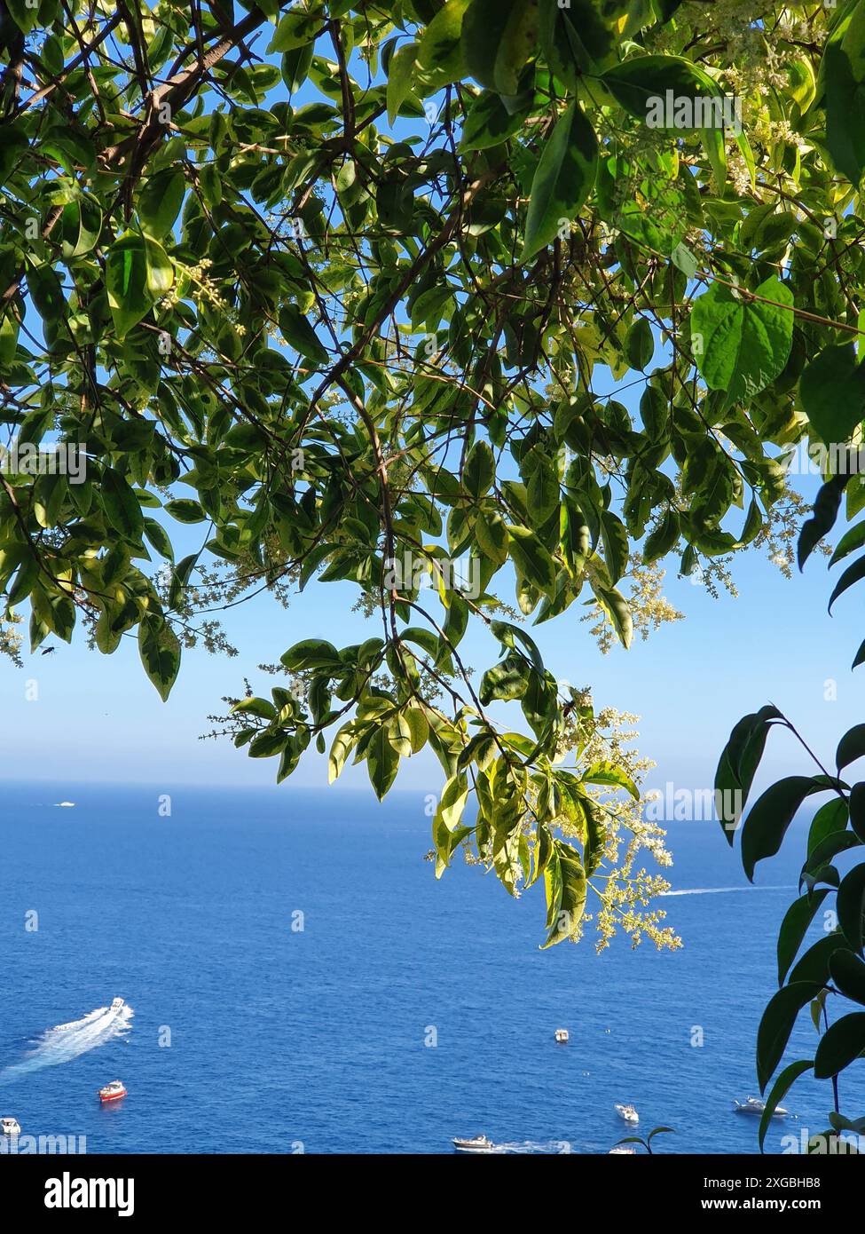 Blue Ocean at Positano Bay with Yachts and Sail Boats and Blooming ...