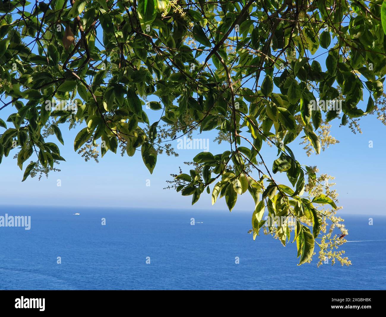 Blue Ocean at Positano Bay with Yachts and Sail Boats and Blooming ...