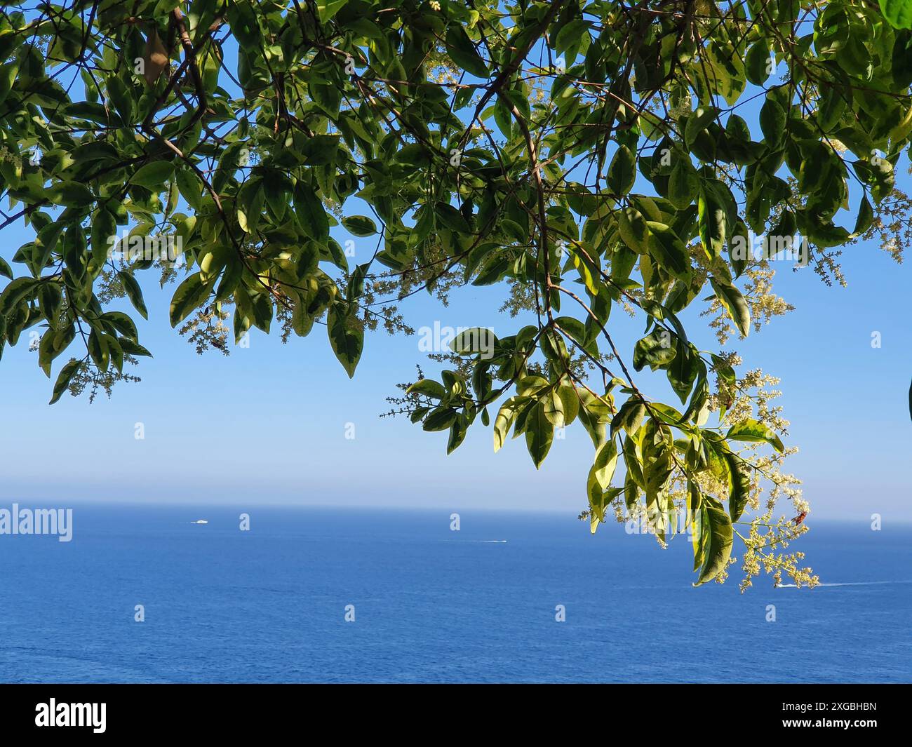 Blue Ocean at Positano Bay with Yachts and Sail Boats and Blooming ...