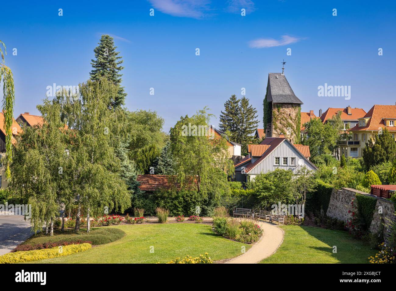 City wall park willow hi-res stock photography and images - Alamy