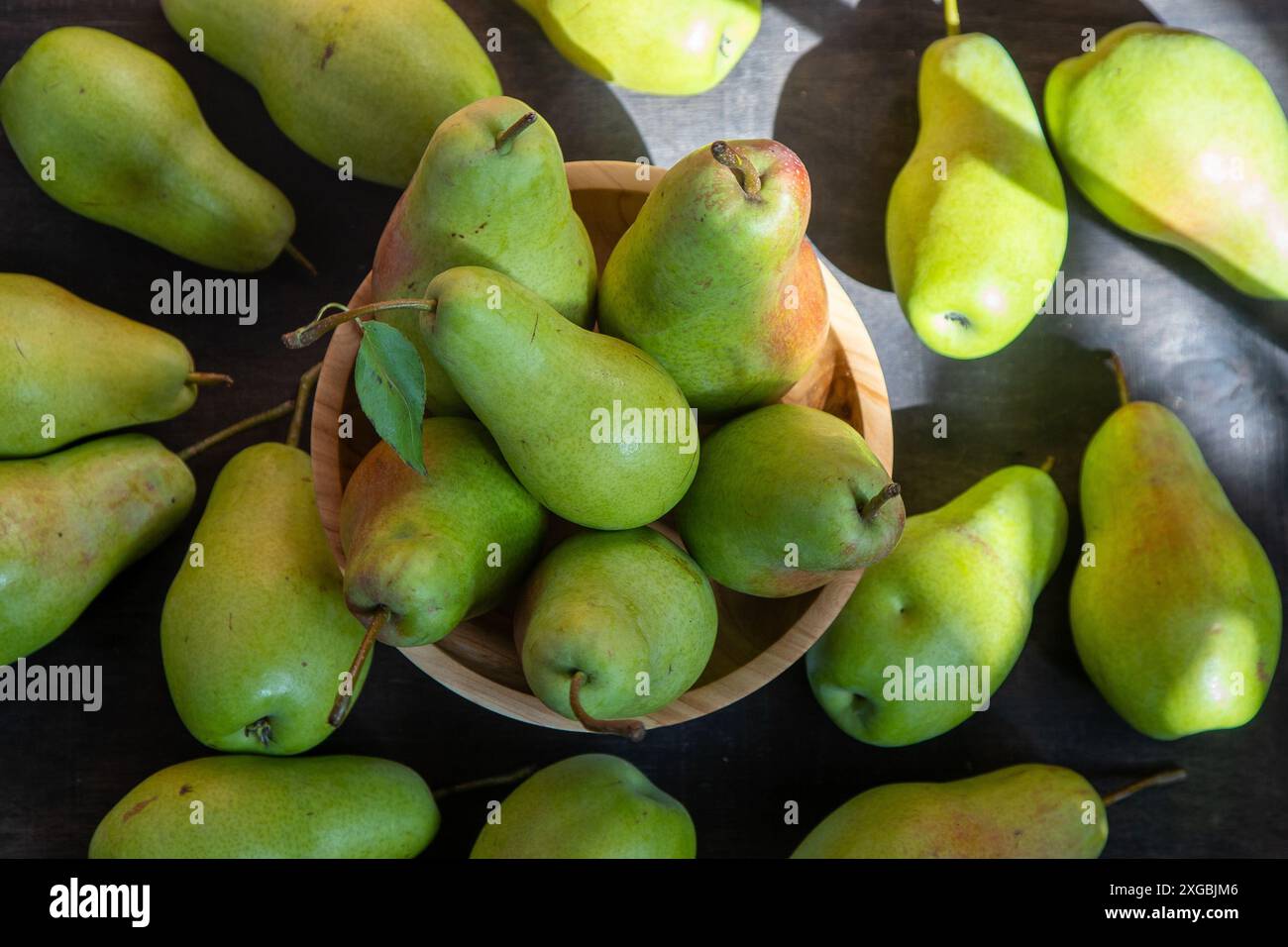 Parisian pear variety. Fruits on the table. Autumn harvest. Pears top ...