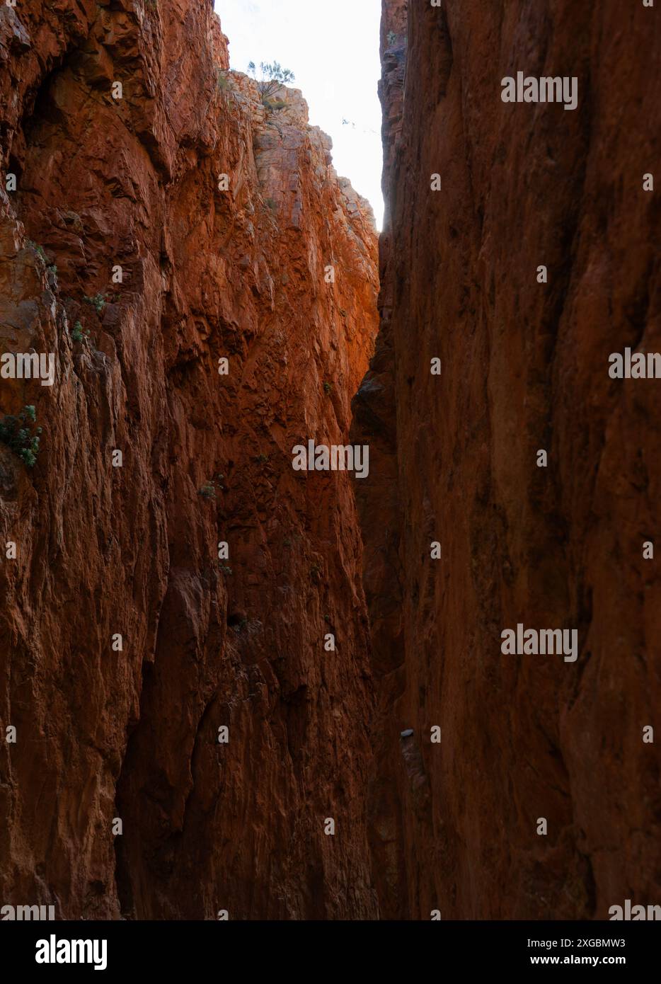 Detailed rock formations hi-res stock photography and images - Alamy