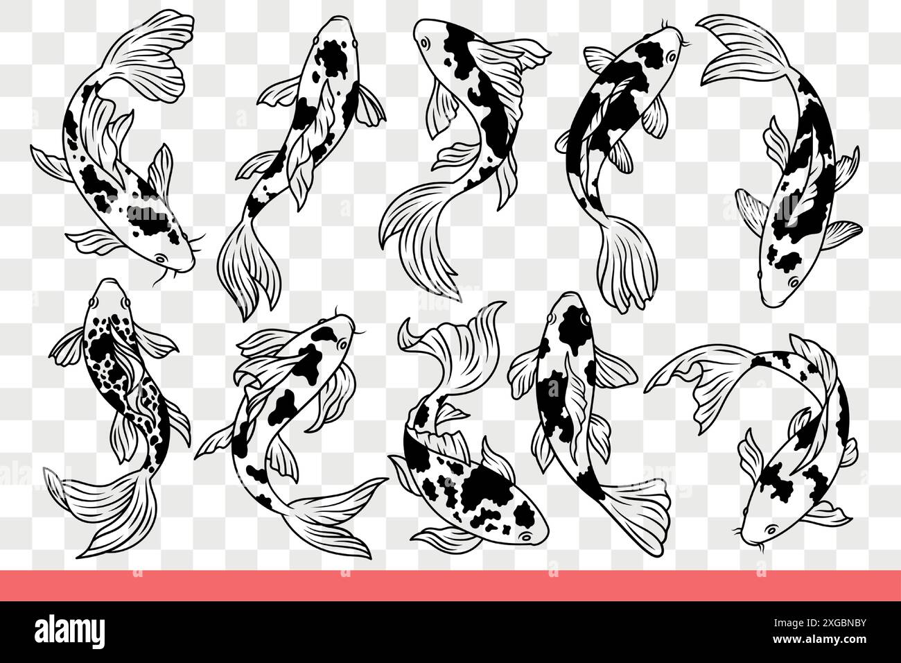 Japanese carp fish with spotted body and large fins swims in different ...