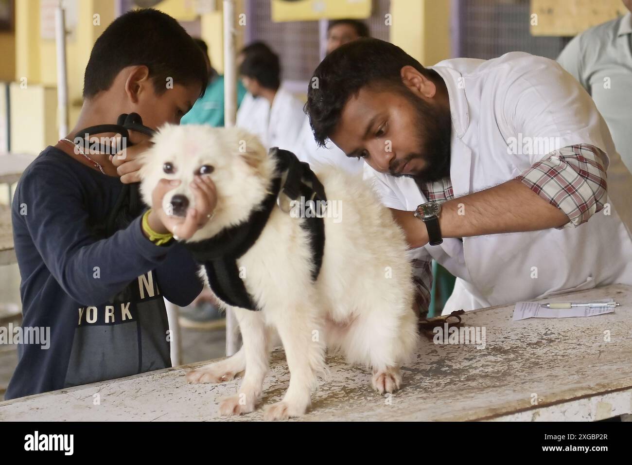 State veterinary hospital india hi-res stock photography and images - Alamy