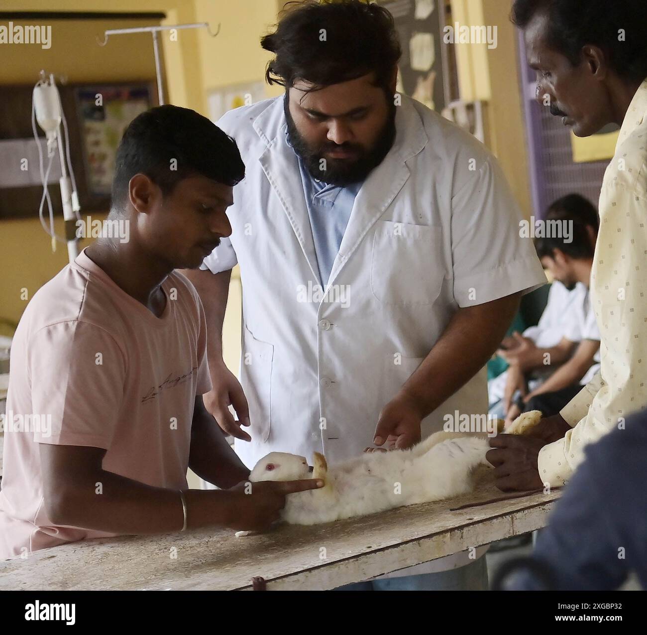 State veterinary hospital india hi-res stock photography and images - Alamy