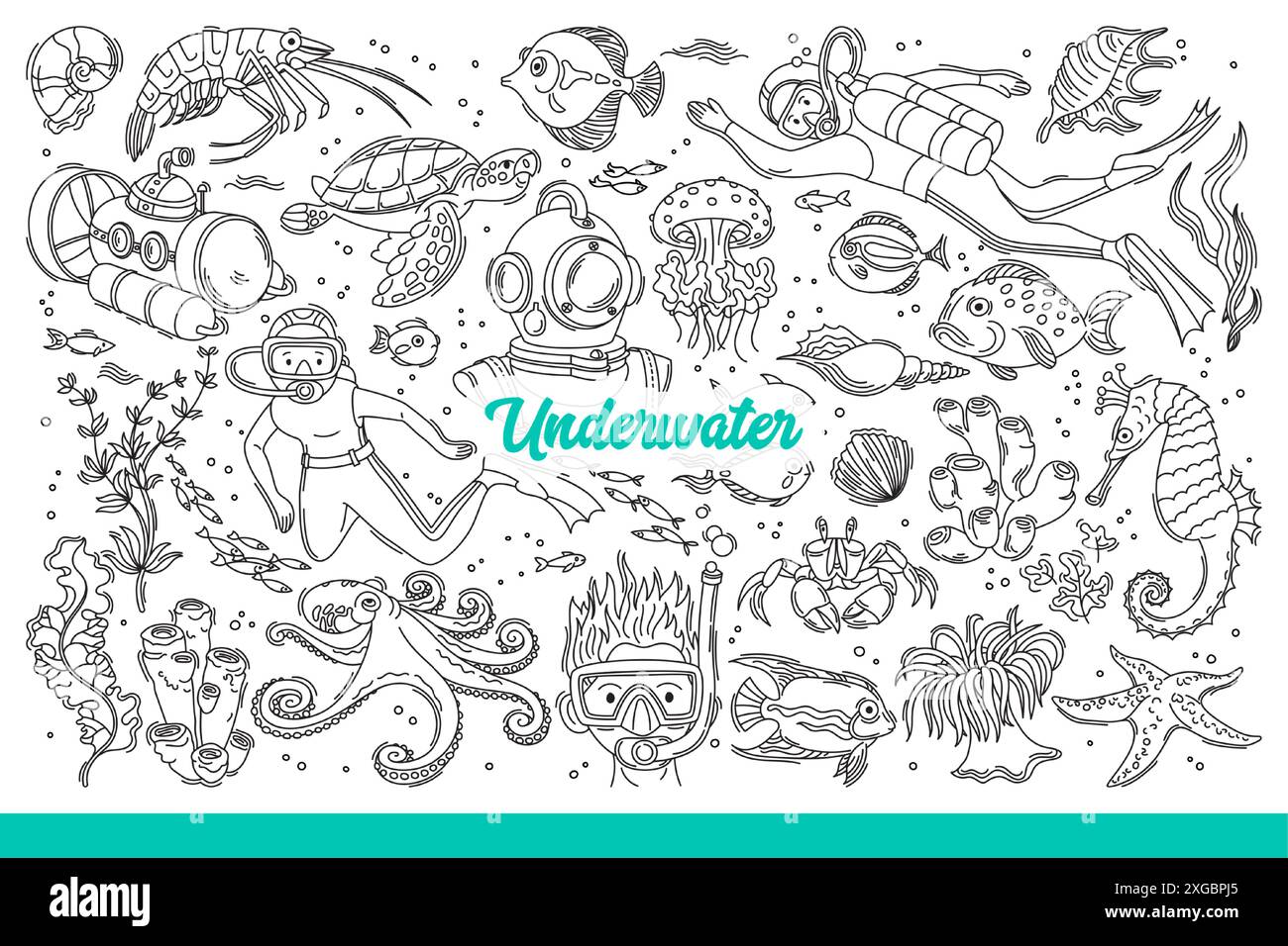 Underwater life tropical ocean with animals and corals near divers with ...