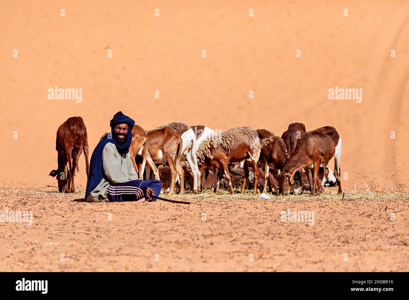 Tuareg at the Goat Market in the Sahara in Algeria Stock Photo - Alamy