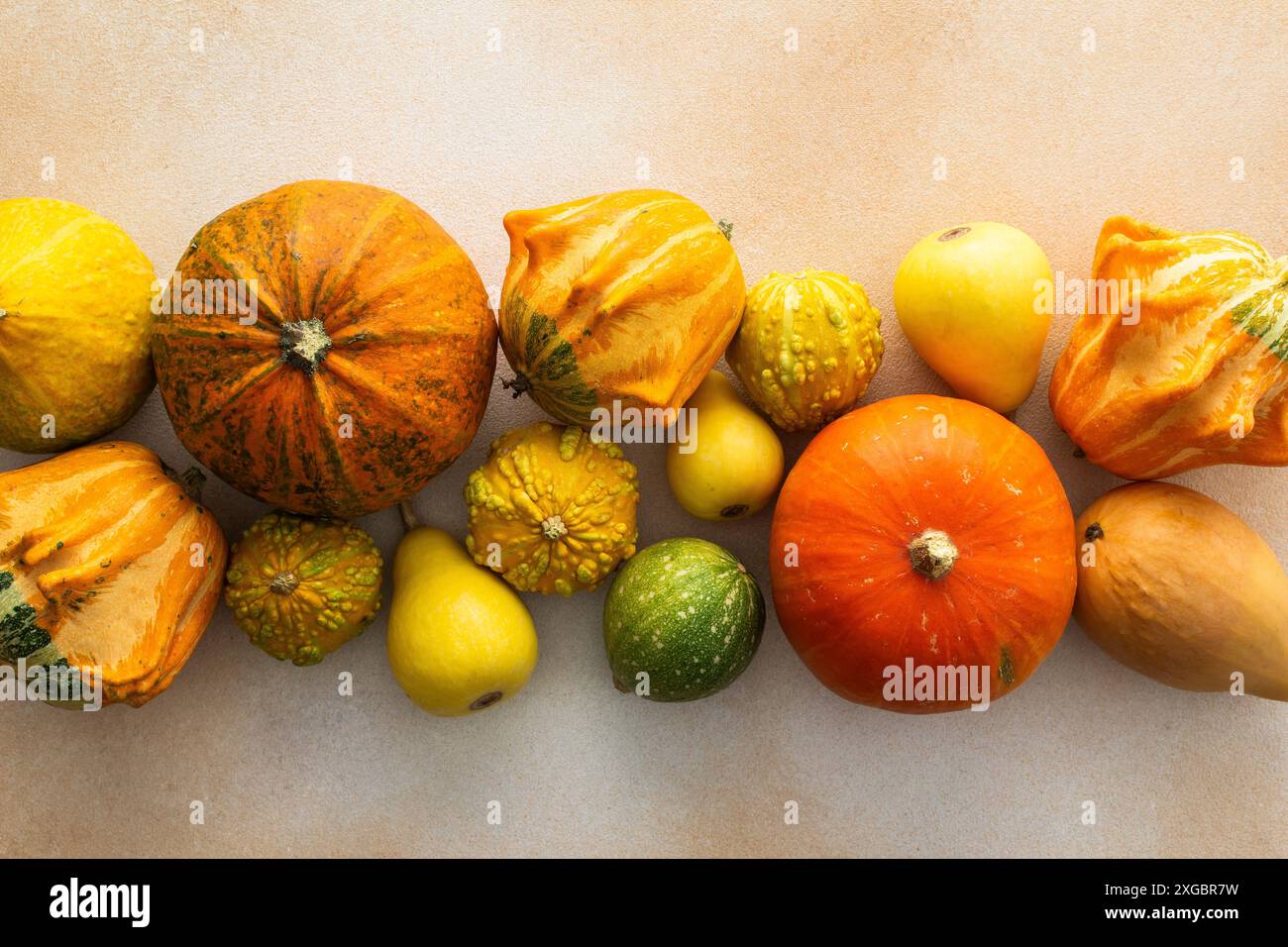 Fall season, background of different pumpkins, fall harvest Stock Photo ...