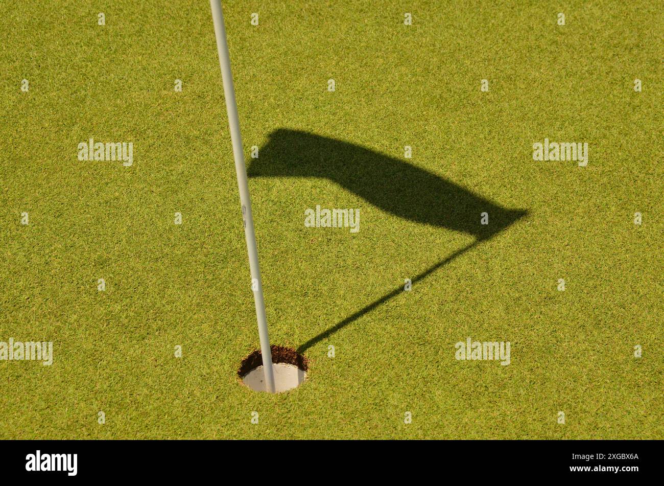 Coastal golf course view with coconut trees in the background. coconut ...