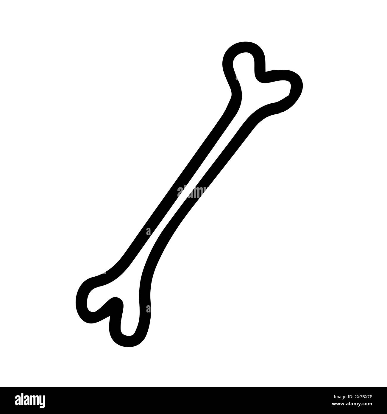 Hand drawn doodle bone Stock Vector Image & Art - Alamy