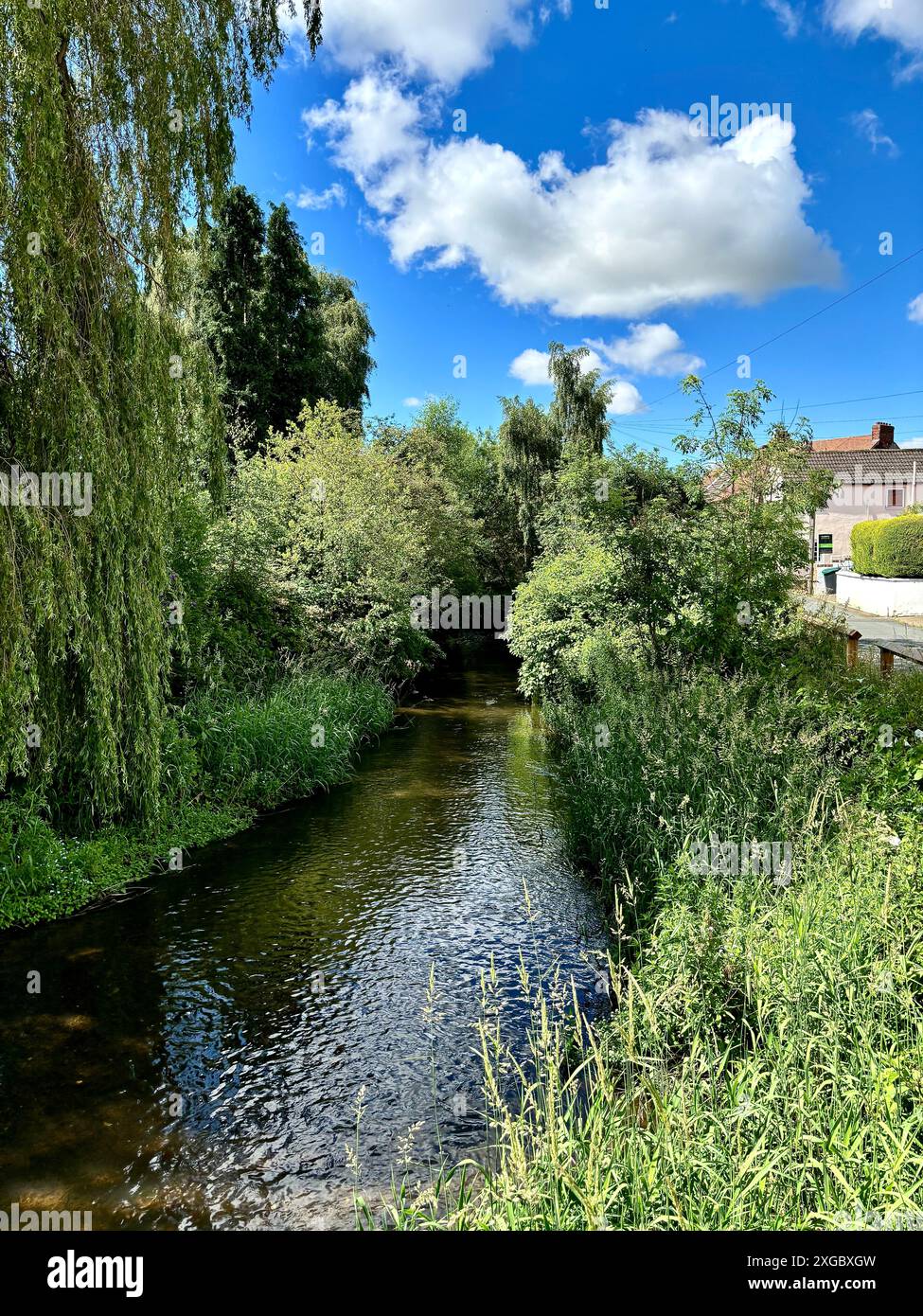 Stokesley, North Yorkshire, UK. 08 Jul 2024. Blue skies and high ...