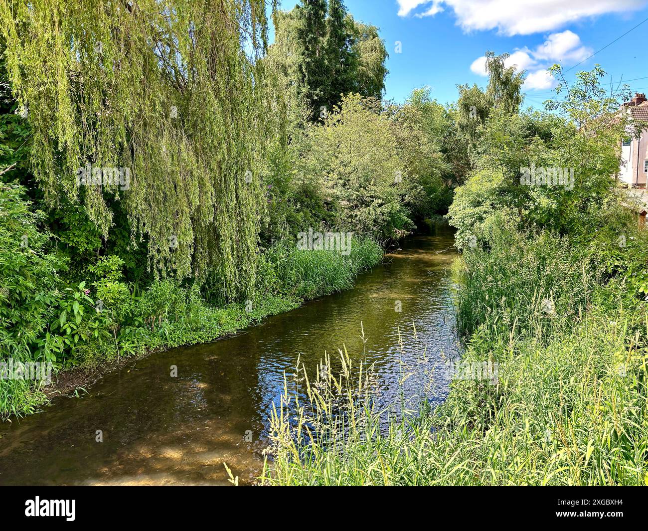 Stokesley, North Yorkshire, UK. 08 Jul 2024. Blue skies and high ...