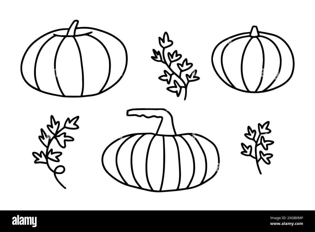 vector pumpkin illustration set Stock Vector Image & Art - Alamy