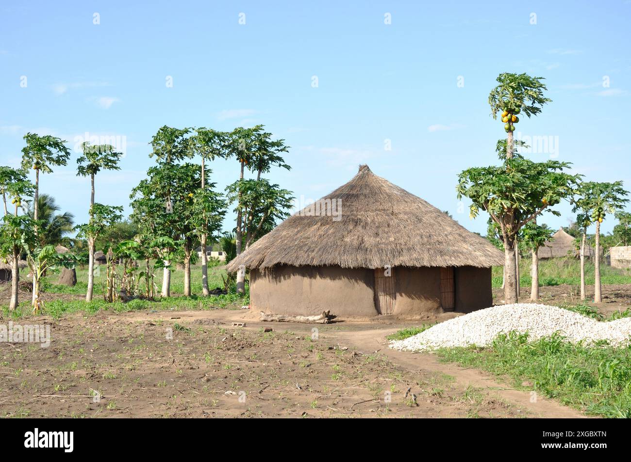 Mud hut, New Mambone, Inhambane, Mozambique. Weel-constructed mud-hut ...