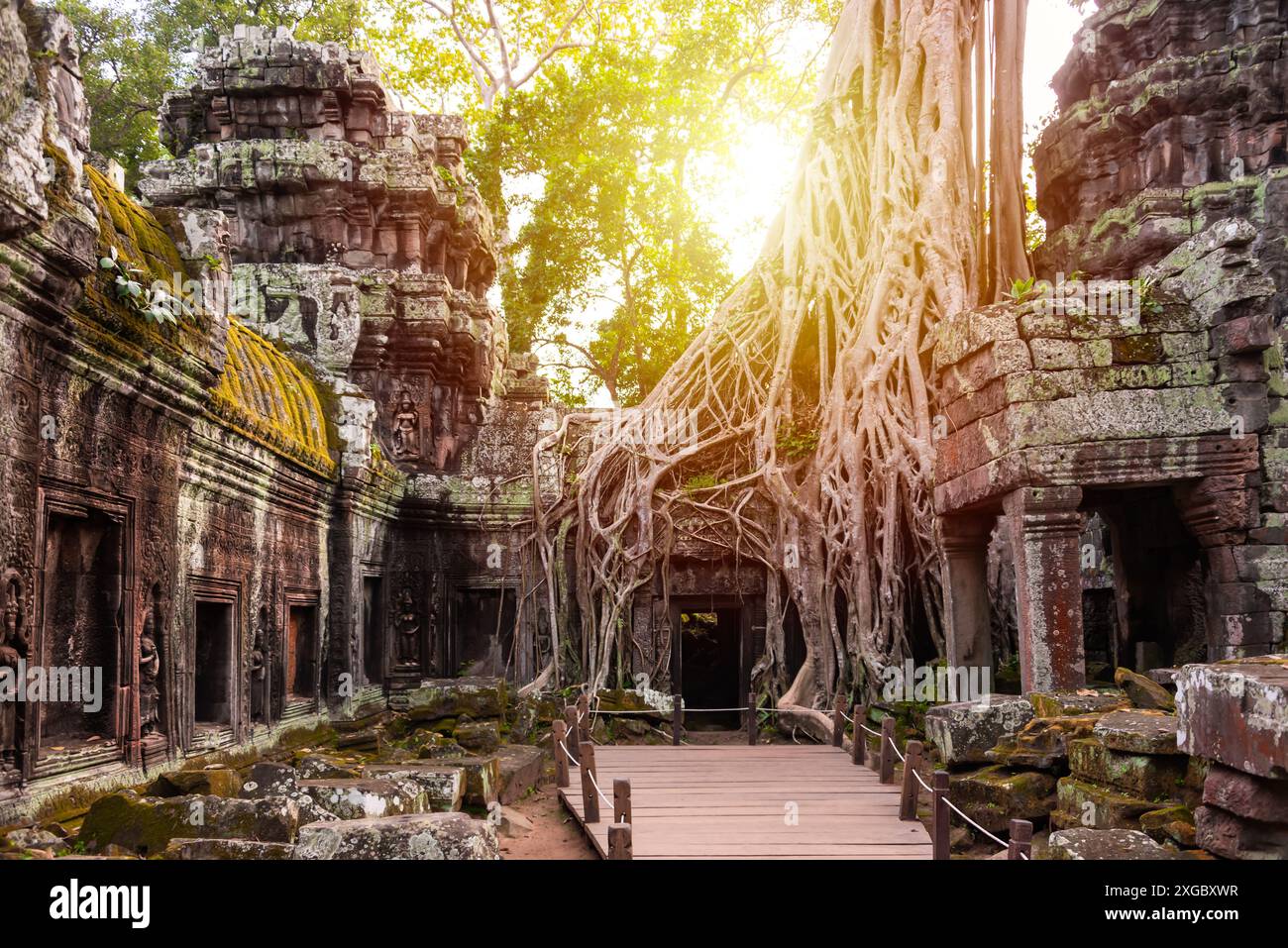 Angkor Thom, ancient temple ruins in Cambodia jungle with tree roots ...