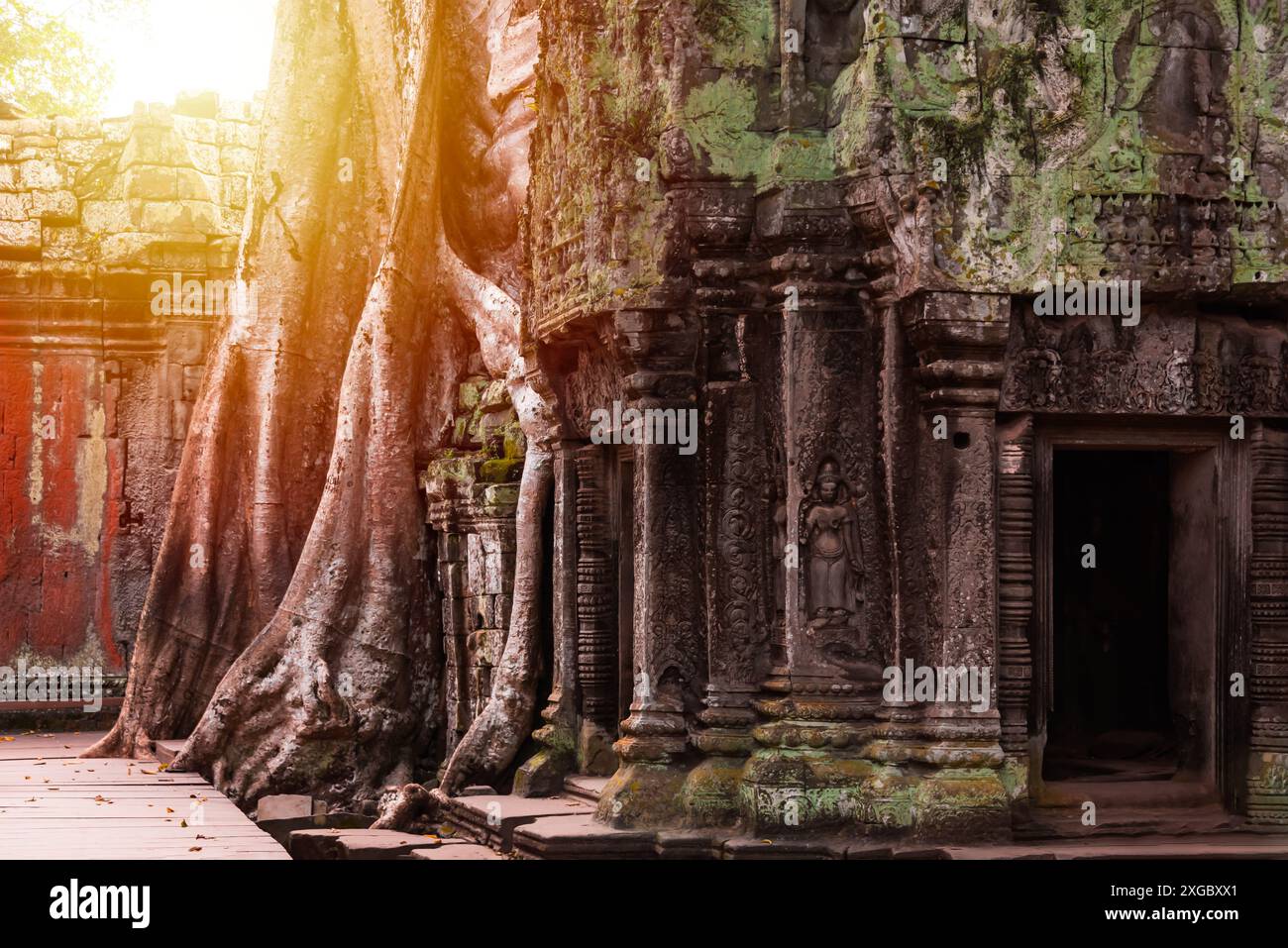 Angkor Thom, ancient temple ruins in Cambodia jungle with tree roots ...