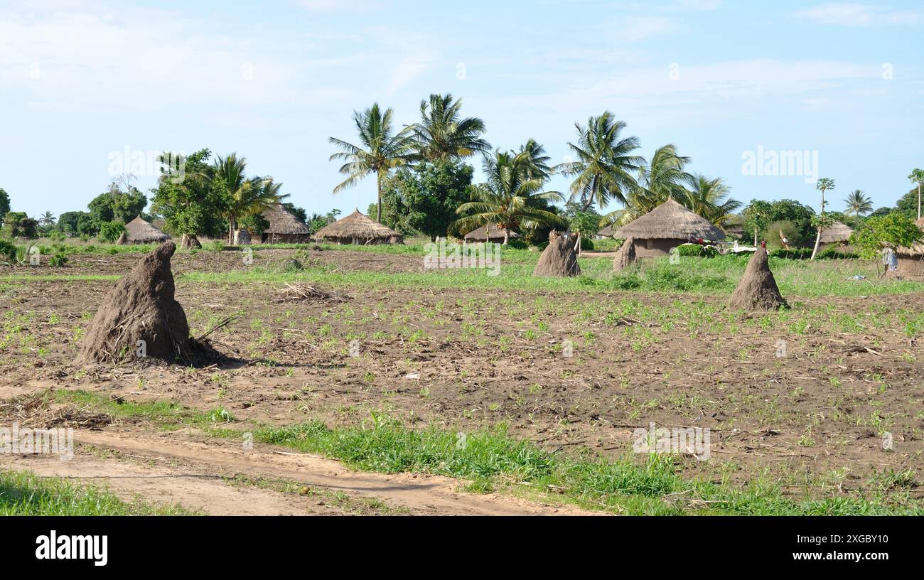 Small village with mud huts, New Mambone, Inhambane, Mozambique. Ant ...