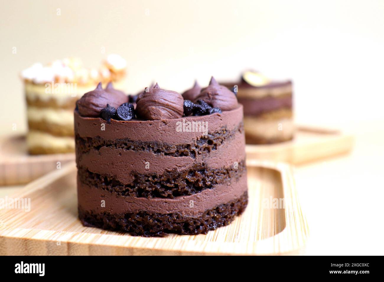 Assorted Seasonal mini cakes. Hazelnut, Opera, Salted Caramel, and ...