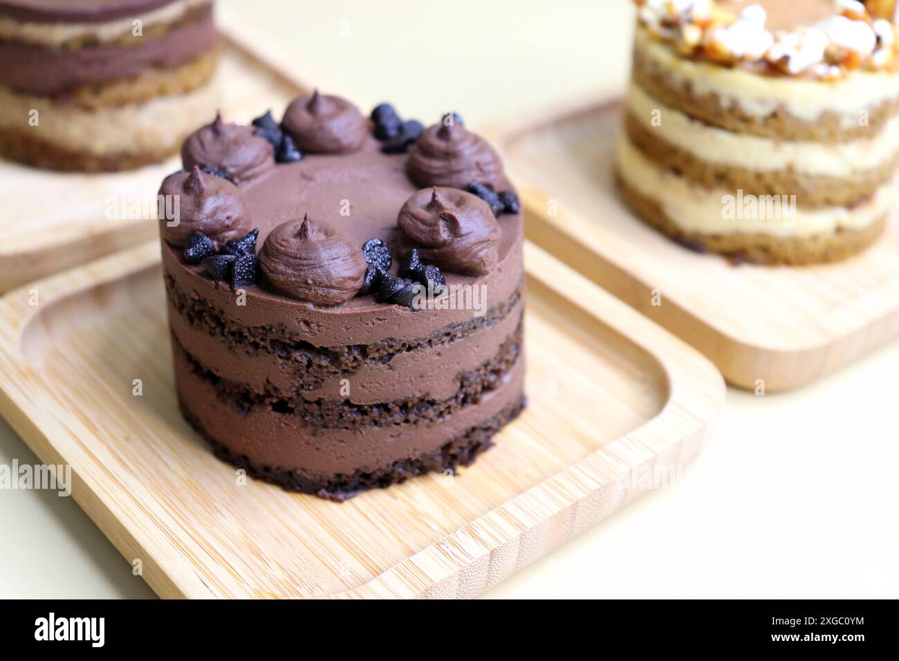 Assorted Seasonal mini cakes. Hazelnut, Opera, Salted Caramel, and ...
