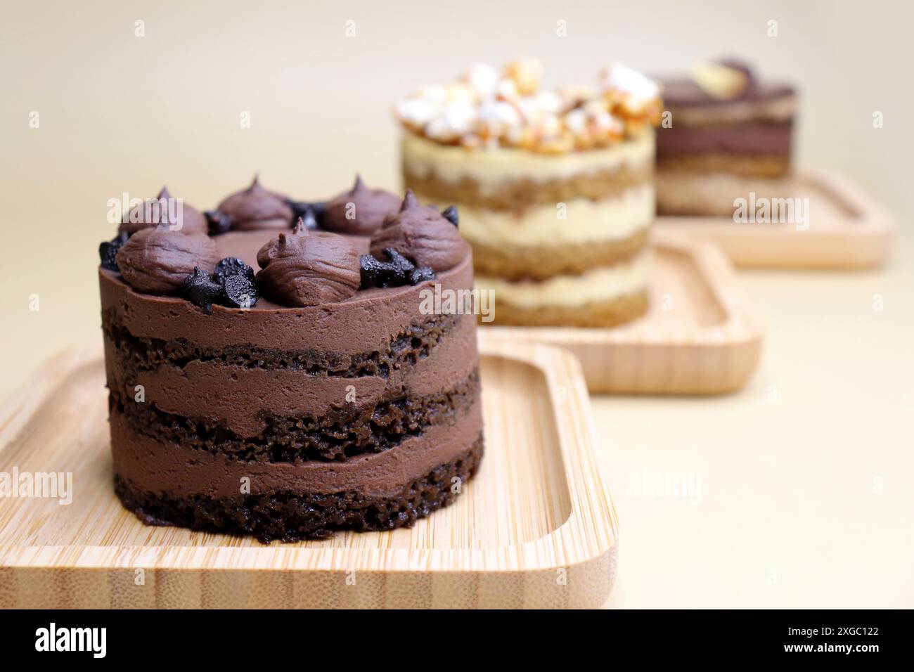 Assorted Seasonal mini cakes. Hazelnut, Opera, Salted Caramel, and ...