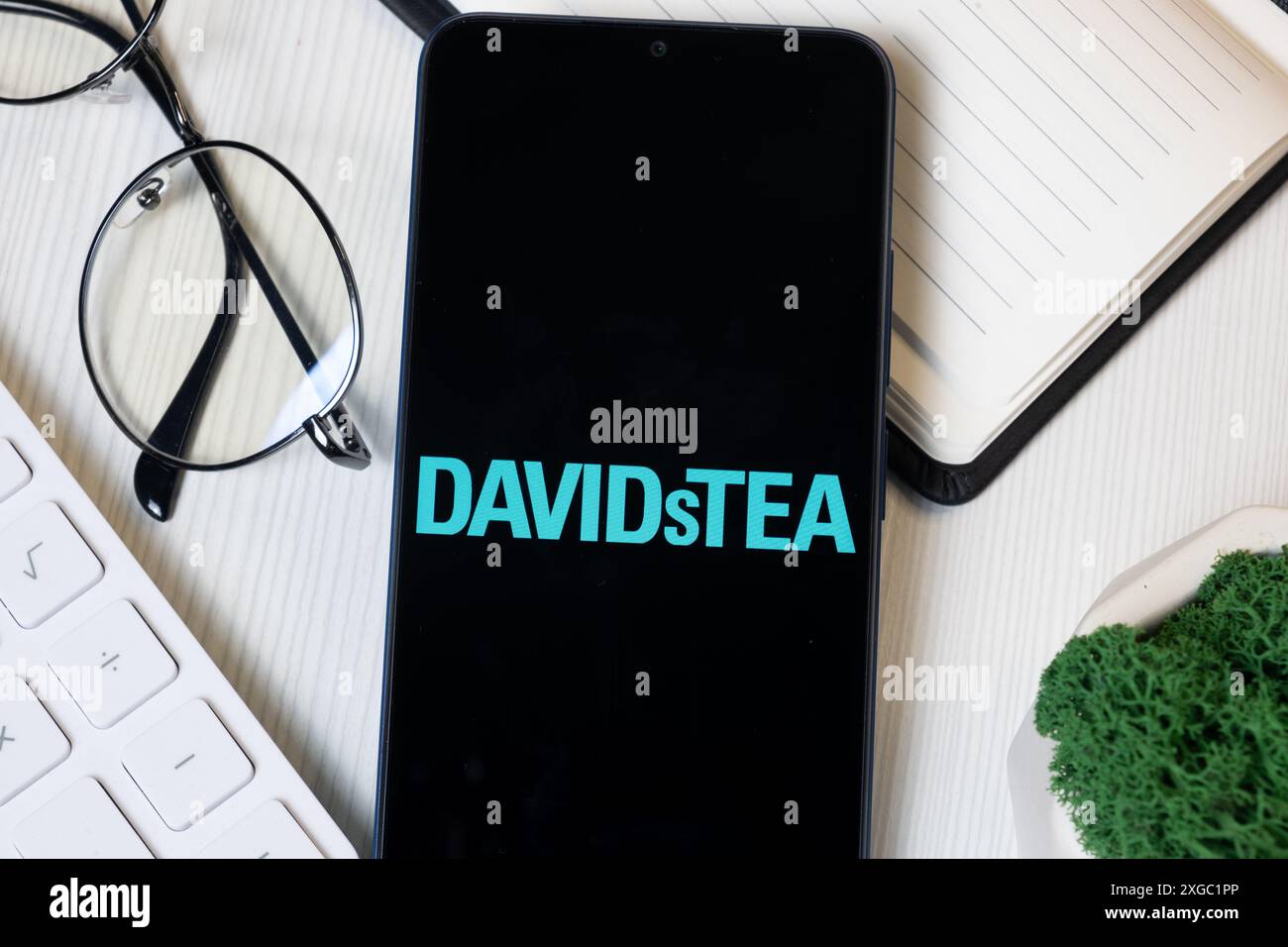 Davidstea logo hi-res stock photography and images - Alamy