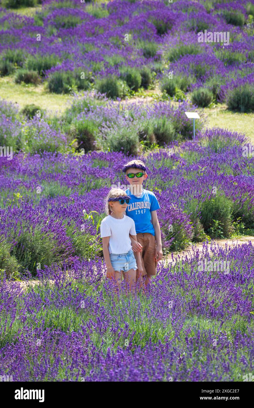 Boy walking in field adorable hi-res stock photography and images - Alamy