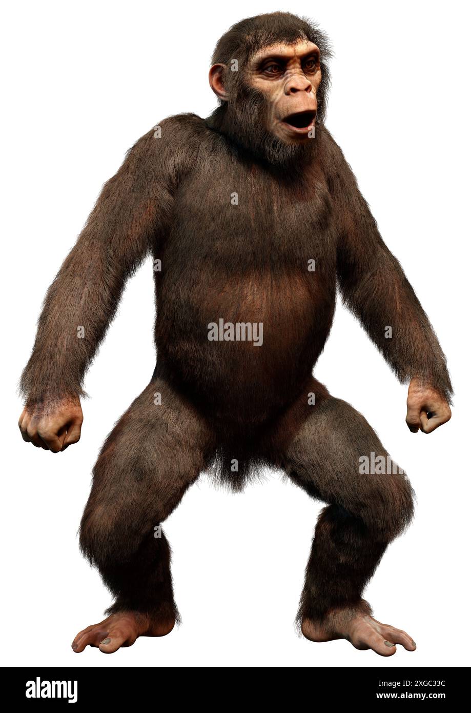 3D rendering of a big chimpanzee ape isolated on white background Stock ...