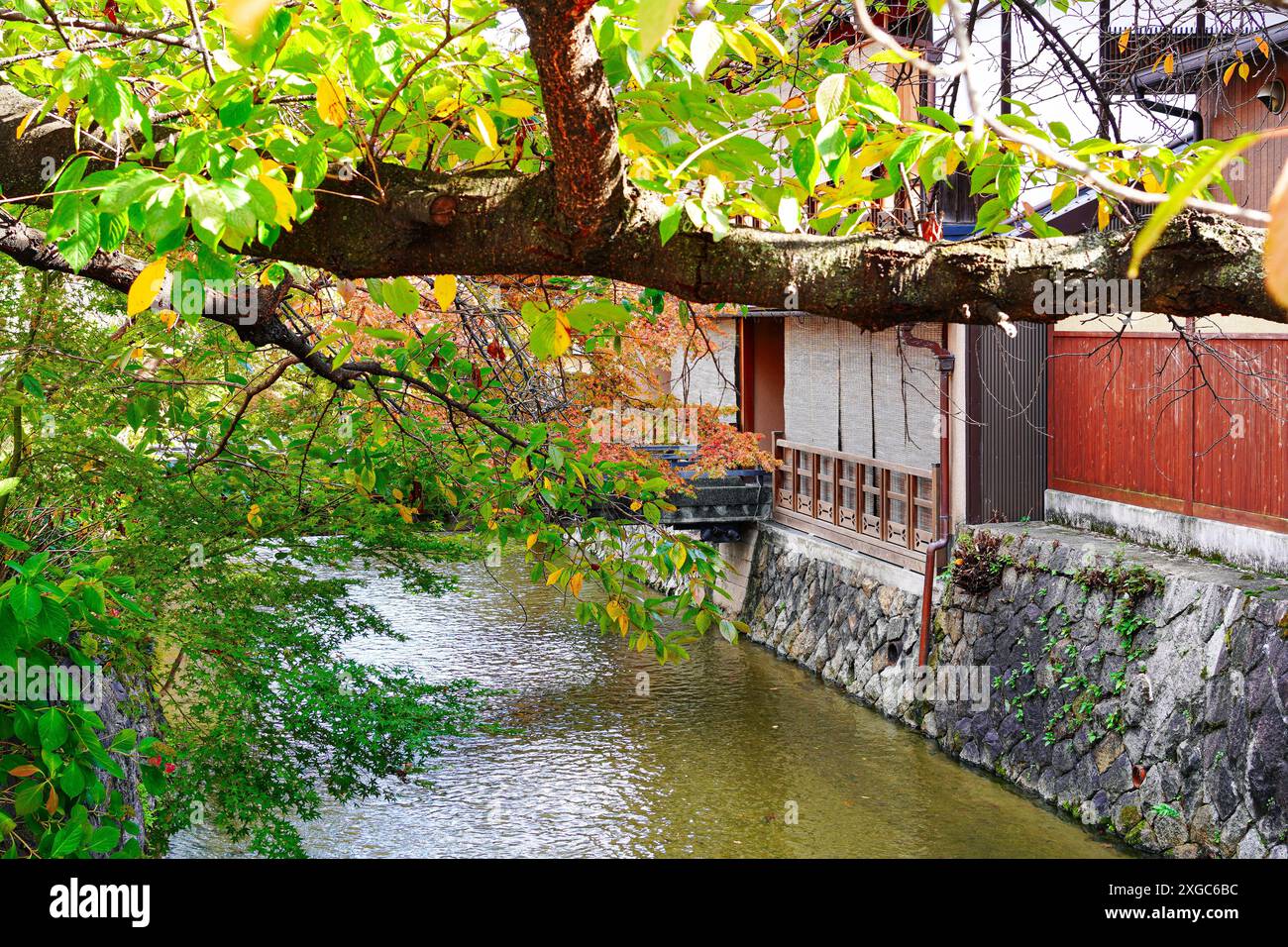 Kyoto's famous Gion Shirakawa River, autumn leaves and traditional ...