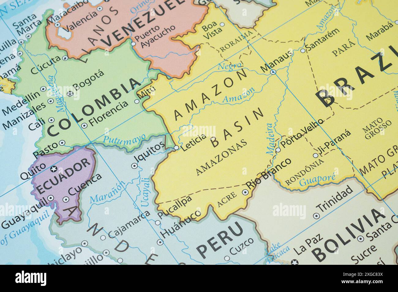 Macro photography amazonas jungle region in north of south america ...