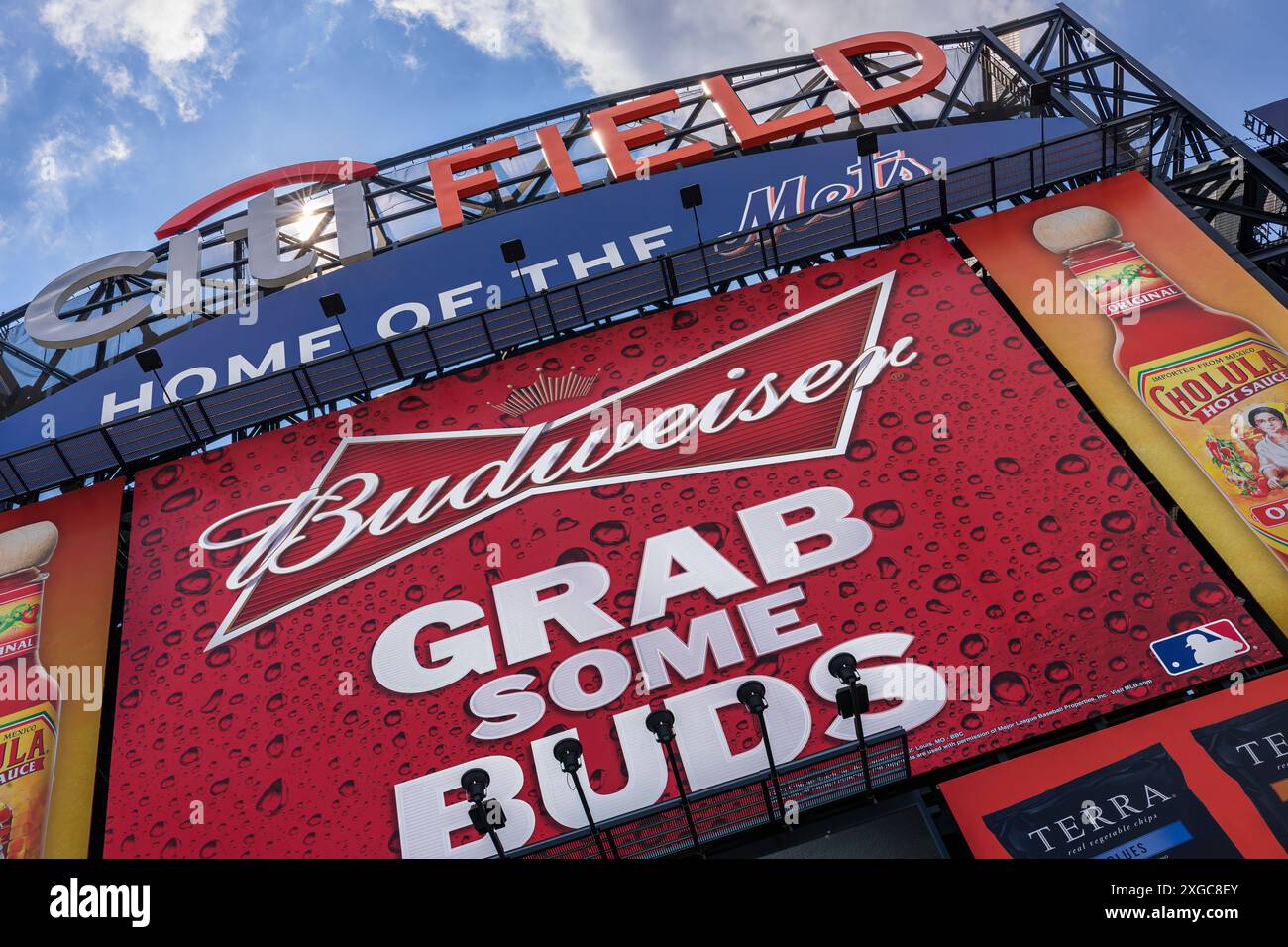 Beer baseball stadium hi-res stock photography and images - Alamy