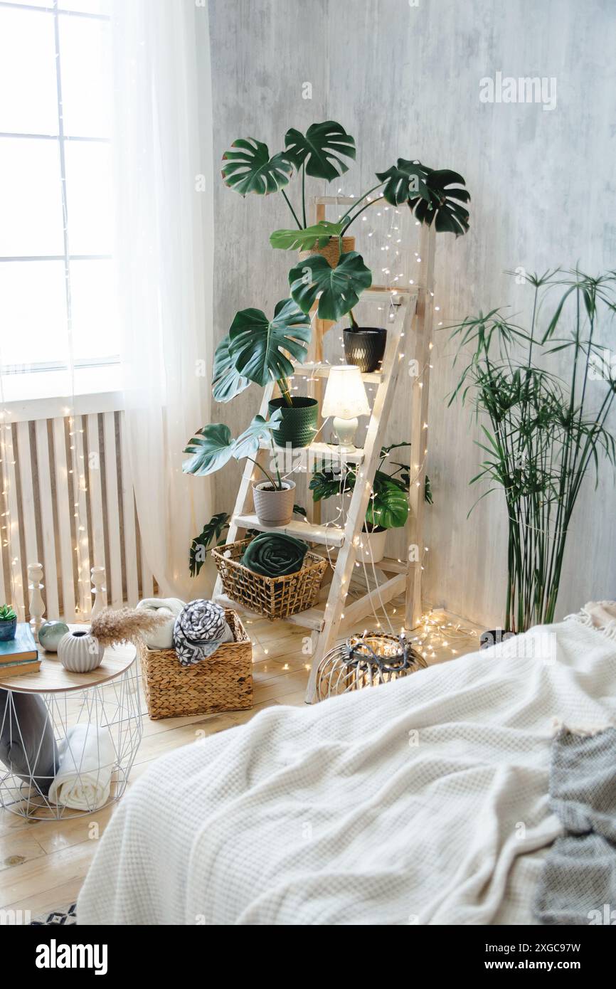 Wooden ladder shelf with various potted plants, surrounded by light grey walls, fairy lights ...
