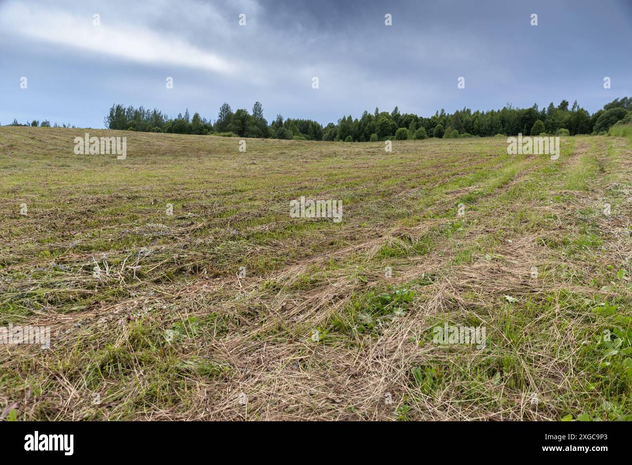 Rural landscape background photo. Mown field is under a cloudy sky ...