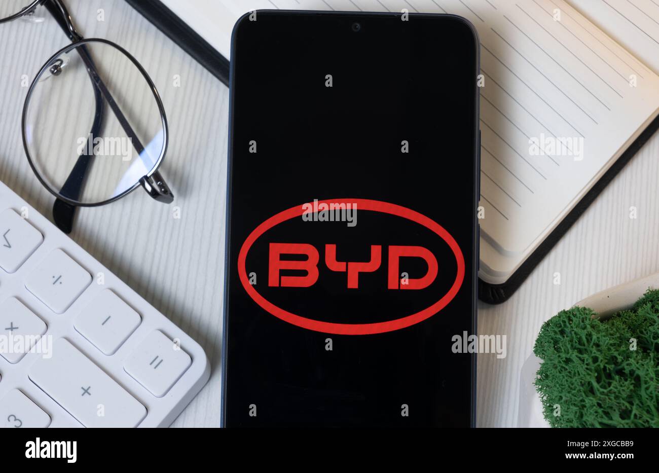 New York, USA - 11 June 2024: BYD Logo on Phone Screen, Company Icon ...