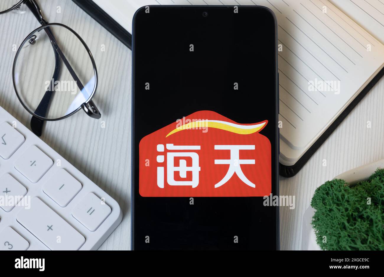 New York, USA - 11 June 2024: Foshan Haitian Flavouring and Food Logo ...